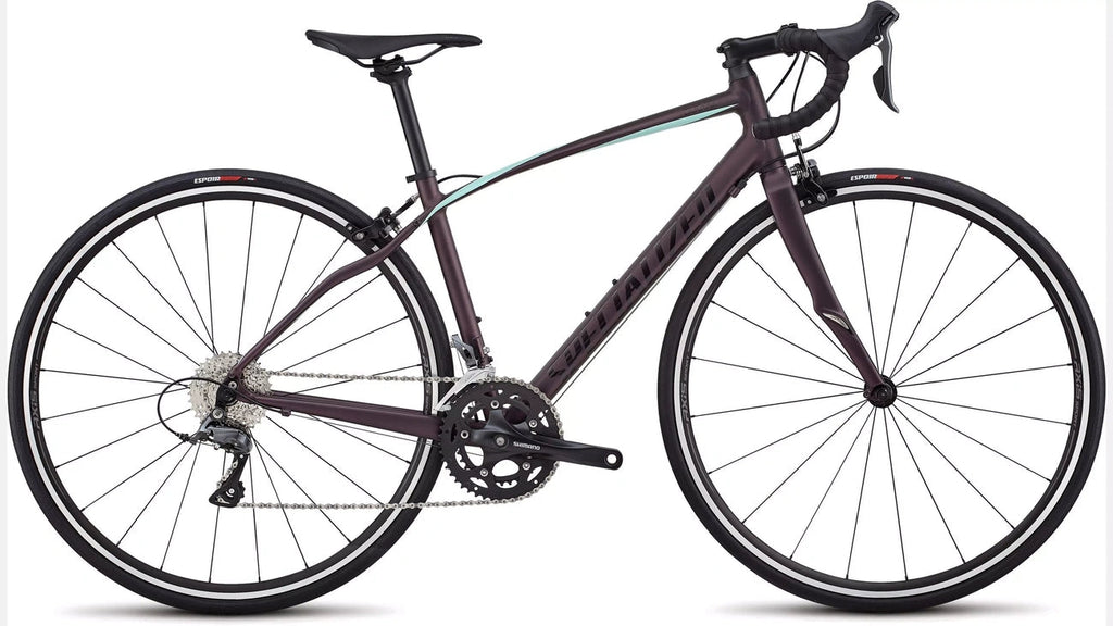 15 Top Road Bike Brands Ranked by Price & Quality (2025 Guide) – Rydecruz